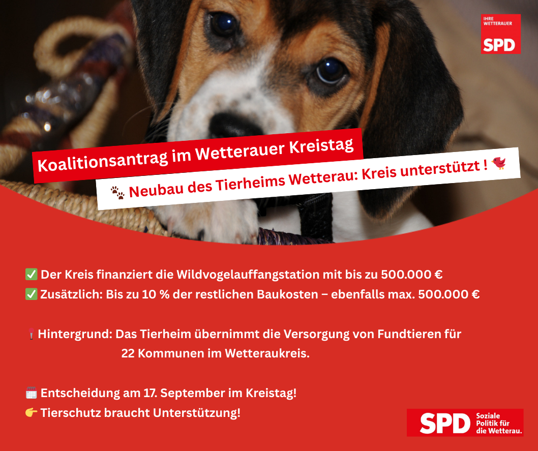 Koalition im Wetterauer Kreistag will Neubau des Tierheims unterstützen ...